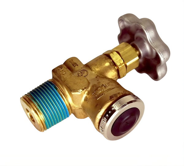 Propane Tank Security Lock 20lb 30lb 40lb 100lb POL Locking Key Cylind ...